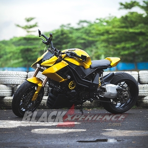 Modifikasi Kawasaki Z 250 FI, Street Fighter Tampil Layaknya Moge Eropa ...