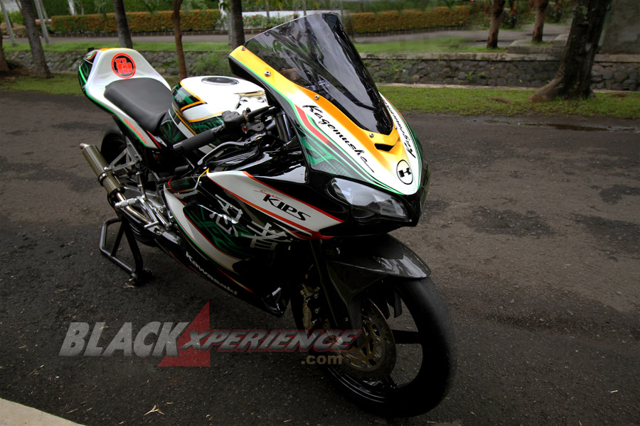Kawasaki Ninja 150 Rr Black